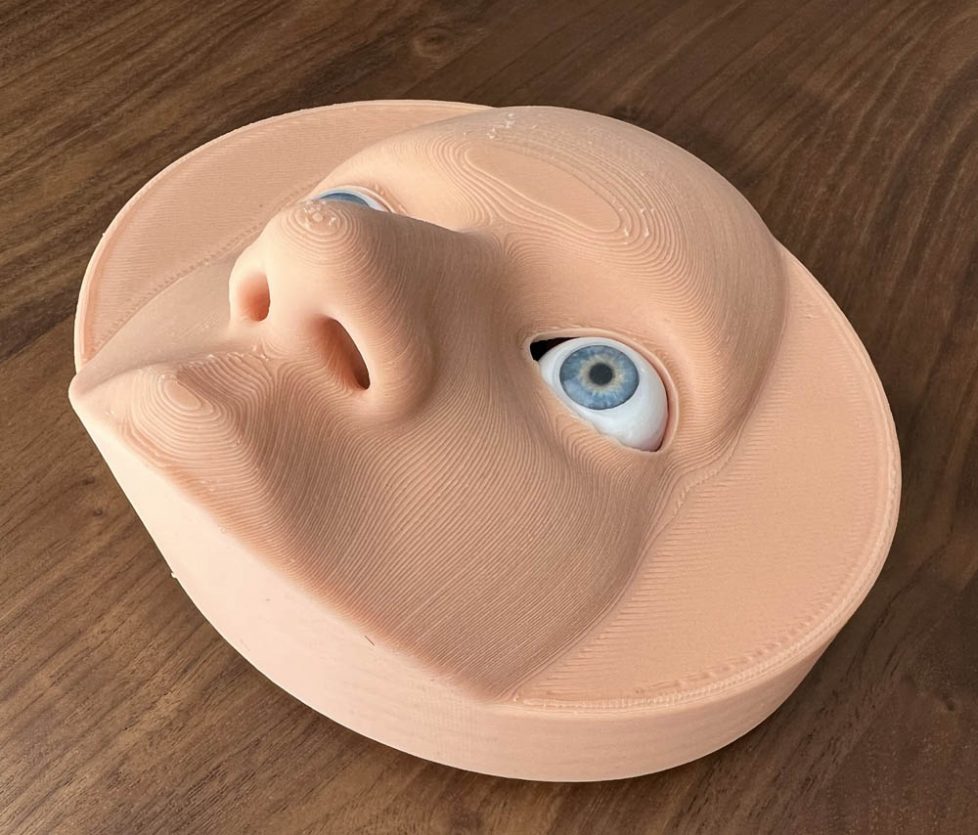 Strab Lab Strabismus Model: Faceplate, Base and 2 Eyes - Wright Center